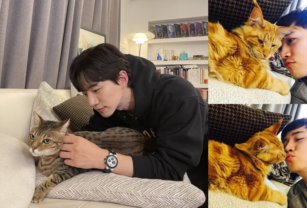 Lee Junho | Fatos sobre o astro do dorama Sorriso Real, série sul-coreana exibida na Netflix